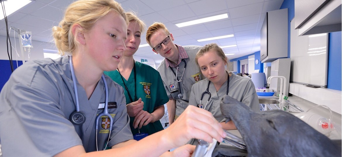 University of Cambridge Veterinary School Trust: Amelia Edwards
