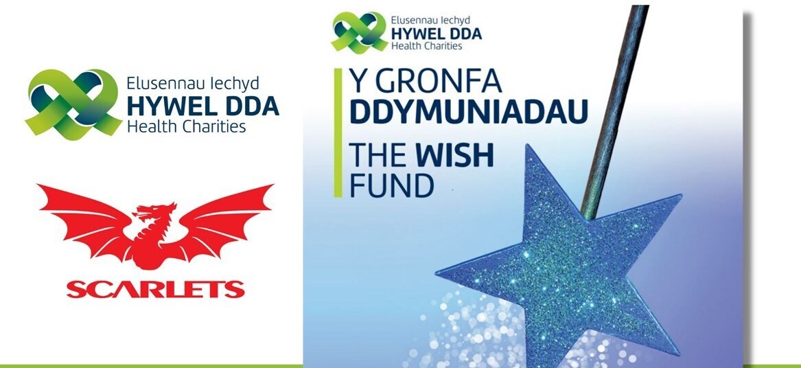 Hywel Dda Health Charities: Y Gronfa Ddymuniadau - The Wish Fund